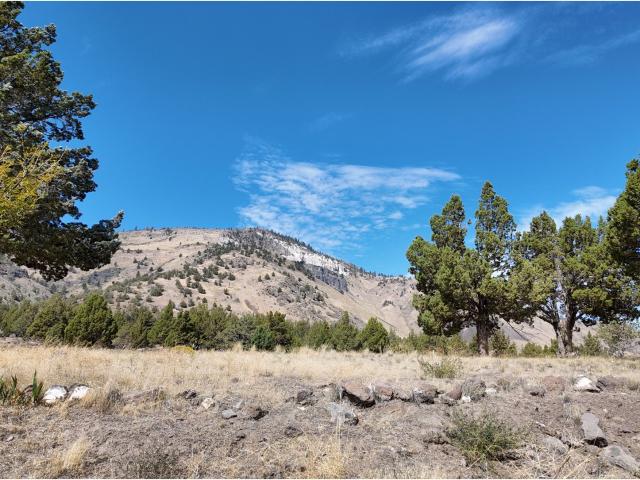 54146 highway 31