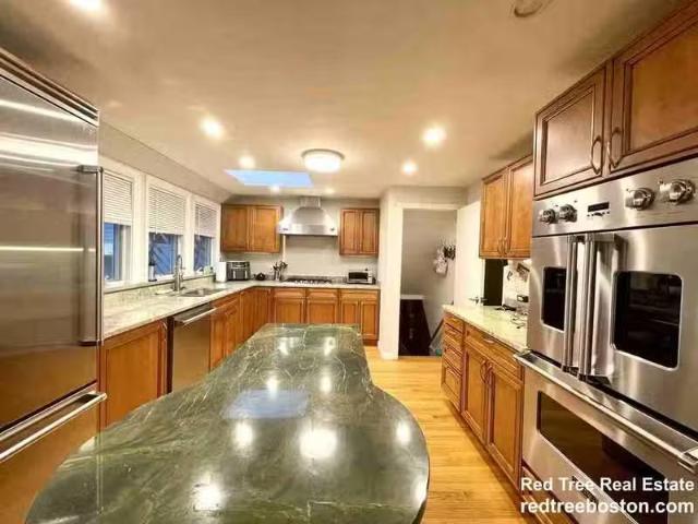 54138424 256 South Ave