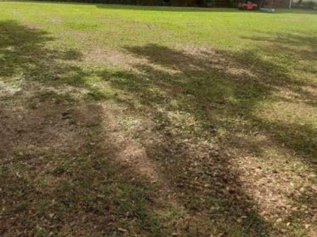 5413 Tractor Trail, Jay, FL 32565