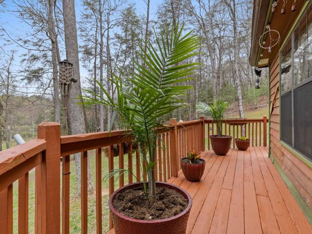 541 Black Ankle Creek Rd, Cherry Log, GA 30522 | MLS #429509
