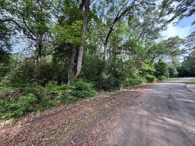 541 Dr Lot Lakeshore, Hemphill, TX 75948