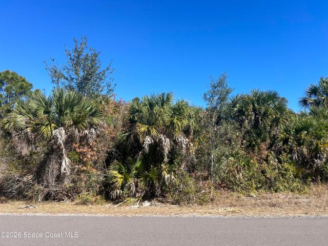 541 La Goy St, Palm Bay, FL 32908 | MLS #1070 | Compass