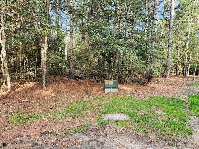 541 Skipper Ct Lot 541, Greenbackville, VA 23356
