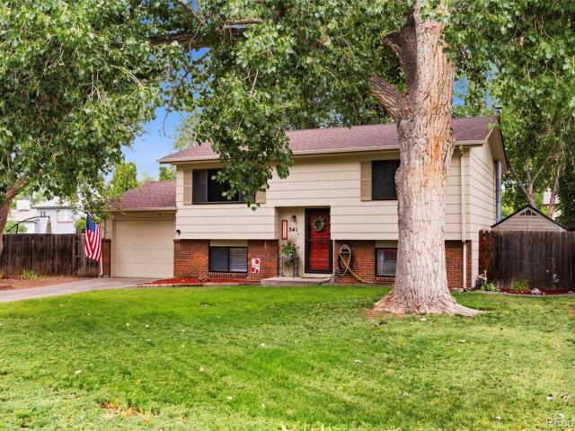 541 Sycamore Drive