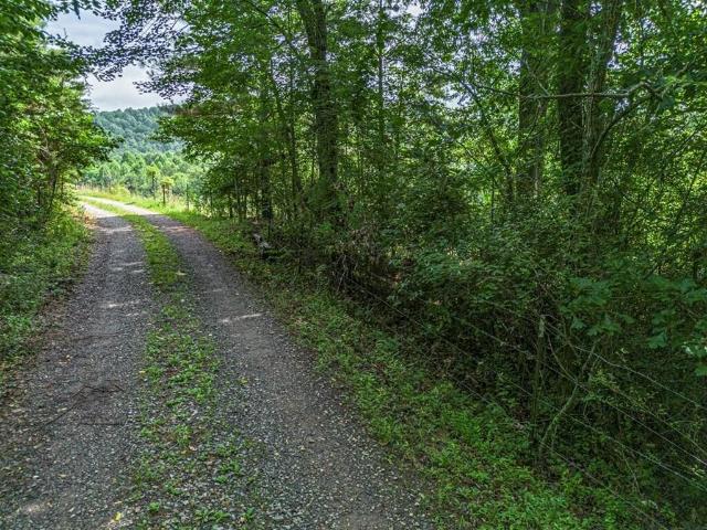 541 Pleasant Hill Road