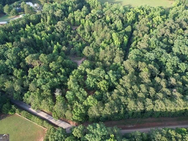 541B Ellis Dairy Rd, Griffin, GA 30224