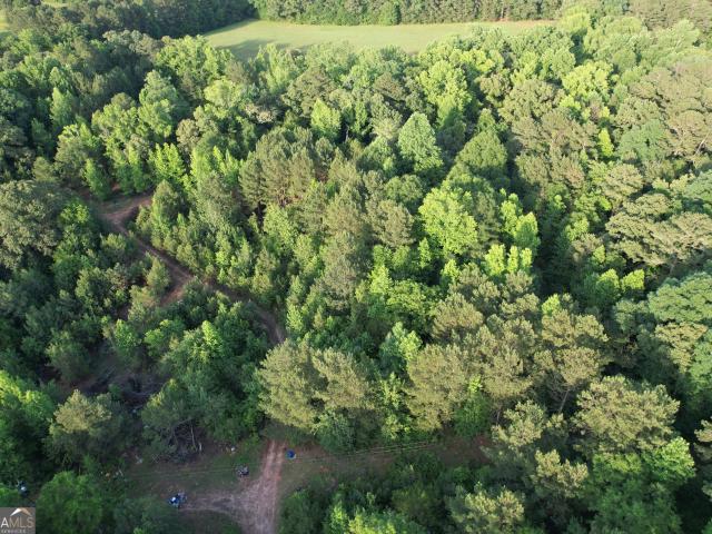 541B Ellis Dairy Road