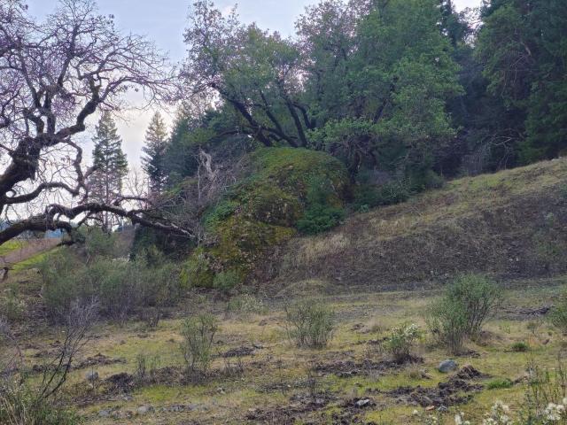 54240 Wildwood Dr, Laytonville, CA 95454 | MLS #326009 | Compass