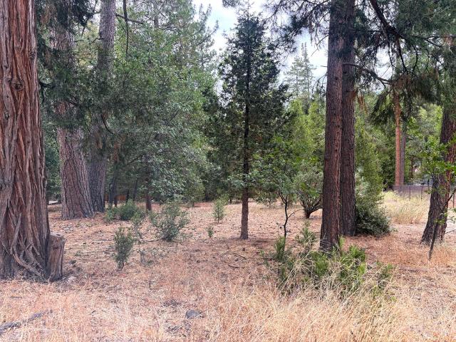 54218 Marian View Drive