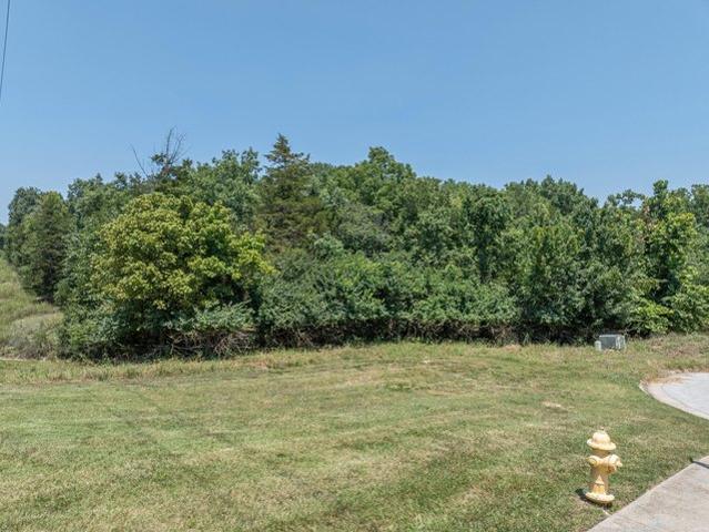 5423 S Ridge Top Ave, Springfield, MO 65804
