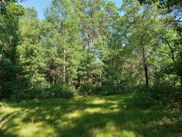 542 Feather Trail