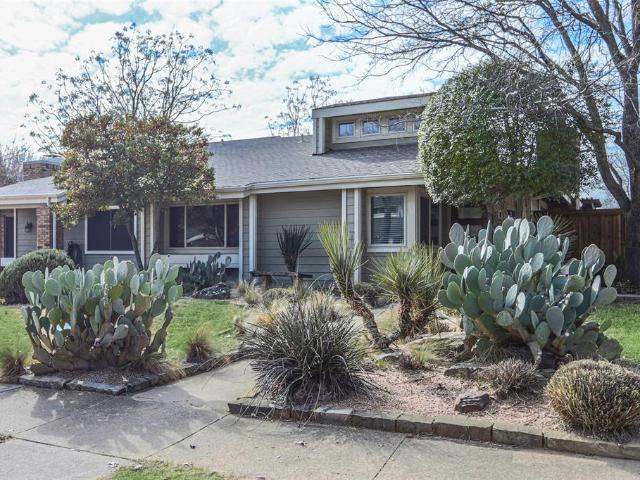 542 Harvest Hill Street