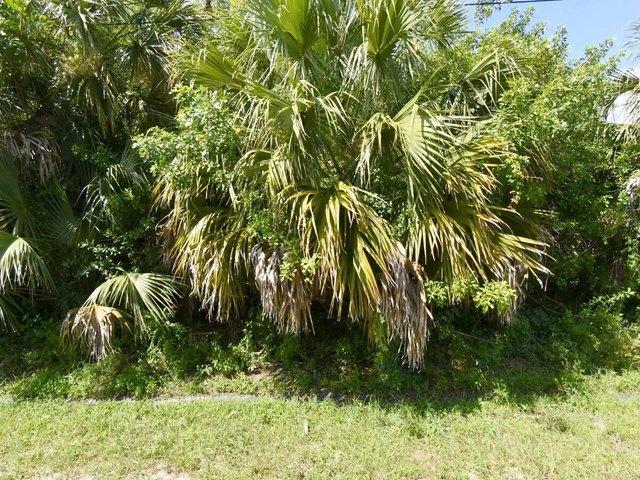 542 SW College Park Rd, Port Saint Lucie, FL 34953