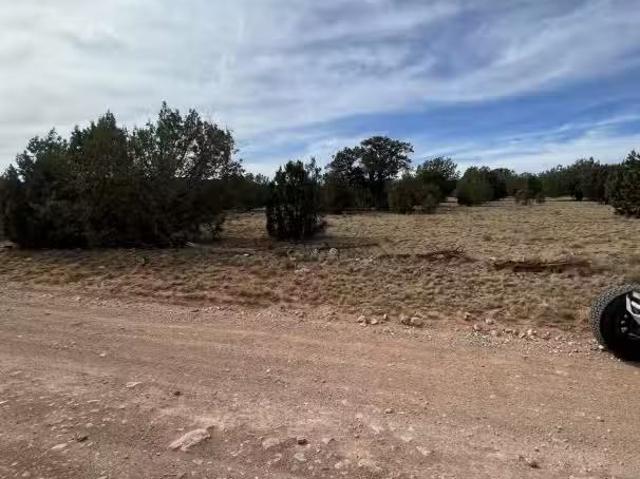 54372 N Via De Oro Pkwy, Seligman, AZ 86337 MLS 1070661