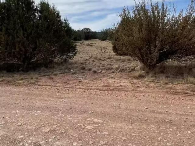 54392 N Via De Oro Pkwy, Seligman, AZ 86337 MLS 1070663