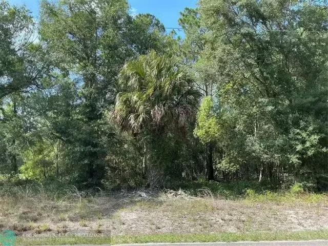 5430 CEDAR FORD BLVD, HASTINGS, FL 32145 Vacant Land For Sale.