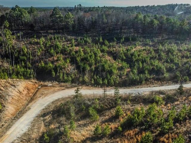 543 Woodland Ridge Trail