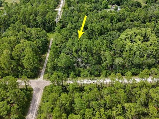 5446 Mango Ave, Bunnell, FL 32110