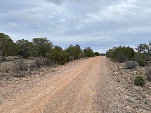 54473 Shadow Mountain Parkway