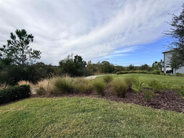 5443 Elmview Crossing, Wesley Chapel, US, FL
