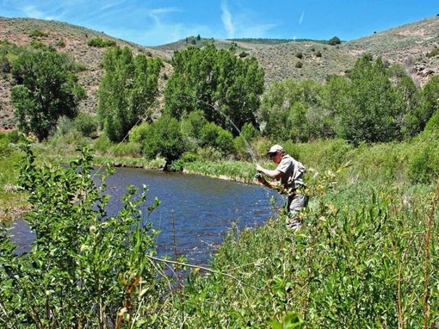 544 Cebolla River Rd, Gunnison, CO 81230
