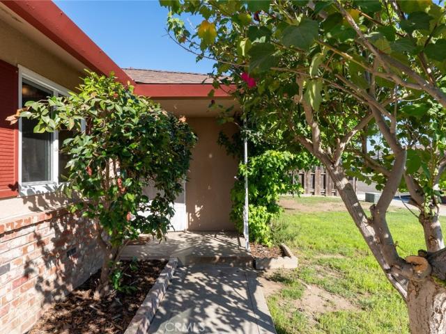 544 Adams Drive