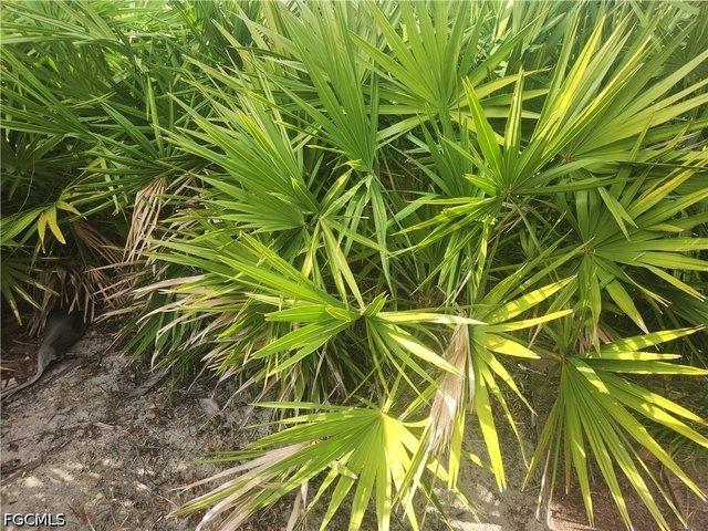 544 Wabasso Ave S, Lehigh Acres, FL 33974