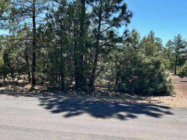 5454 Grey Wolf Dr, Unit 53, Lakeside, AZ 85929 | MLS #6866 | Compass