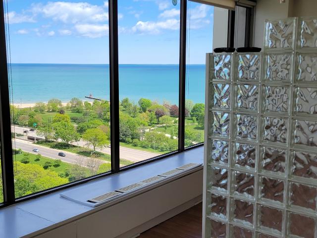 5455 N Sheridan Road # 2207