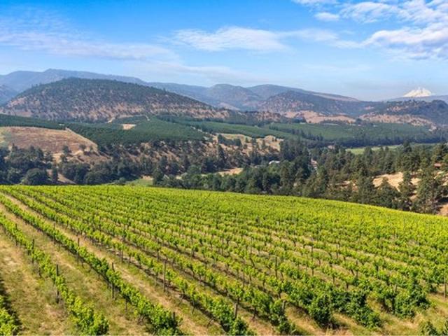 5450 Mill Creek Rd, The Dalles, OR 97058