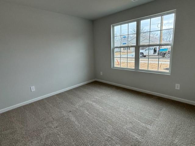 5450 Conifer Lane