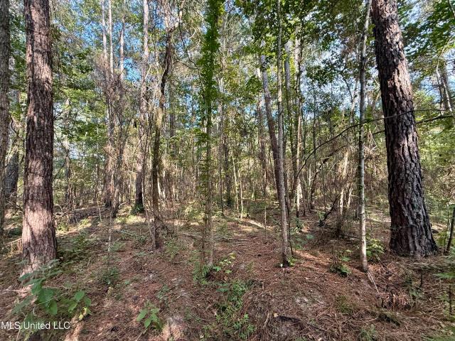 5450 Jernigan Road