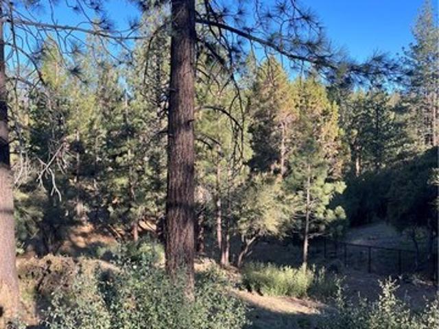 545 Division Dr, Big Bear City, CA 92314