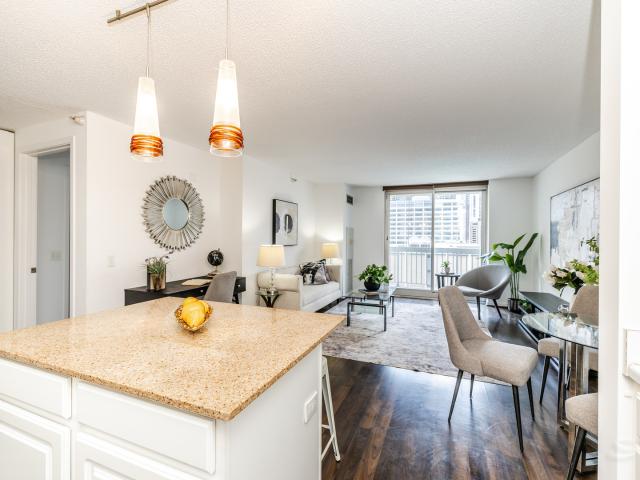 545 N Dearborn Street # W1409