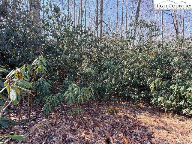 545 Pinnacle Ridge Road