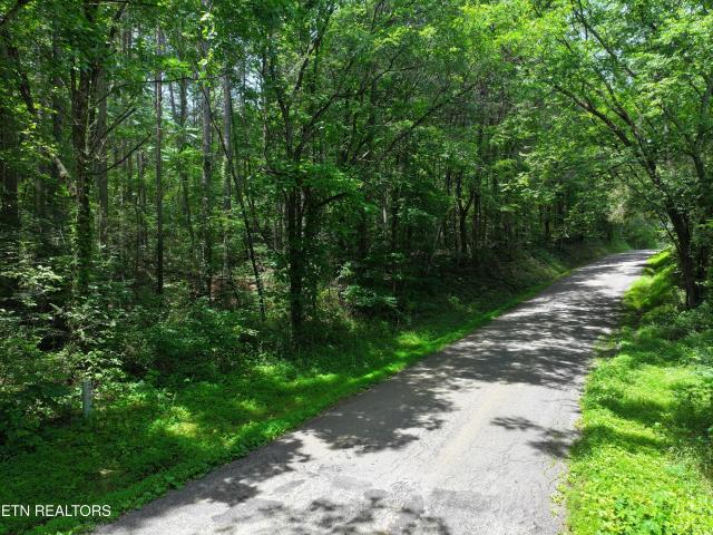 545 Ridge Rd