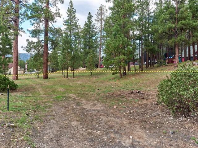 545 Wren, Big Bear Lake, CA 92315 | MLS #HD25234