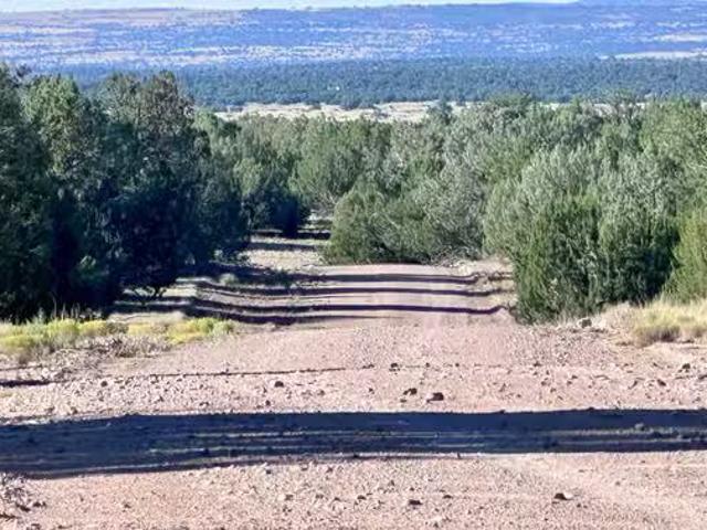 545C N Summer Rain Rd, Seligman, AZ 86337 MLS 1067364
