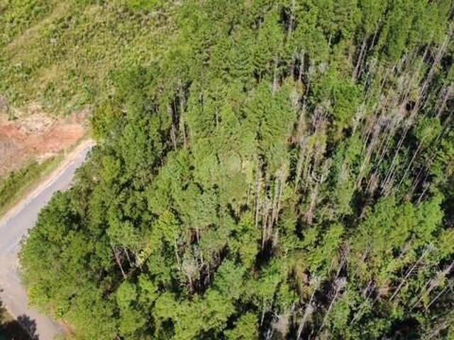 5464 A Pecan Orchard Rd, Liberty, MS 39645 | MLS #4126 | Compass