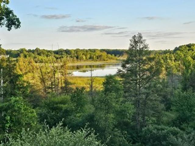 5464 Clear Lake Rd, Grass Lake, MI 49240