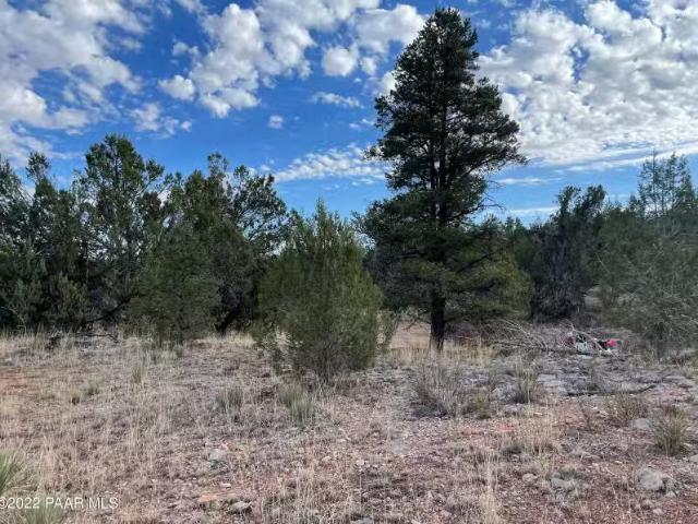 54663 N Forest Grove Way, Seligman, AZ 86337 MLS 1082496