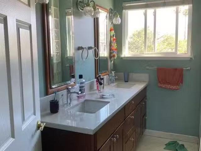 54682450 3125 Lenark Drive