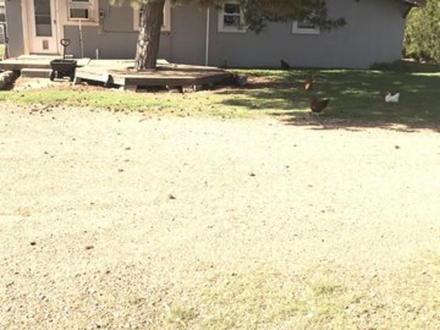 5460 Ns 132 Rd, Forgan, OK 73938