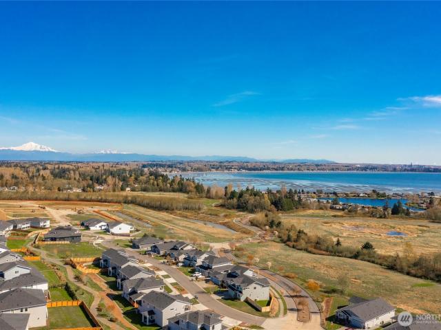 5463 Tolmiea Court