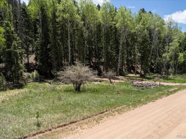 546 Spring Valley Ln, Florissant, CO 80816
