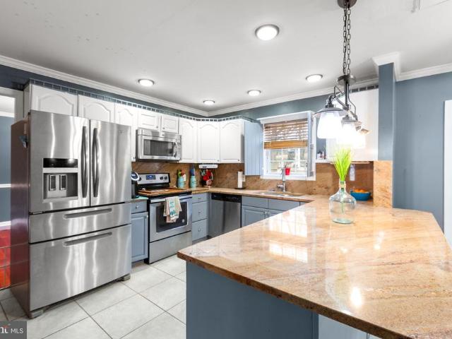 546 Palomino Drive