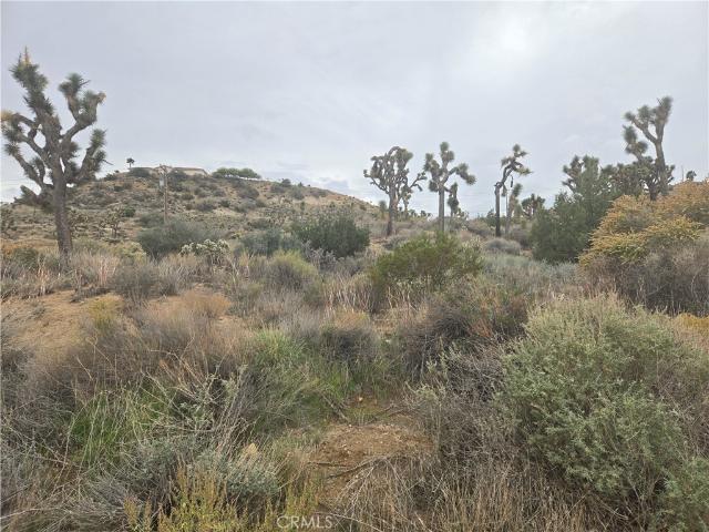 54777 Twentynine Palms Hwy, Yucca Valley, CA 92284 | MLS #JT25260