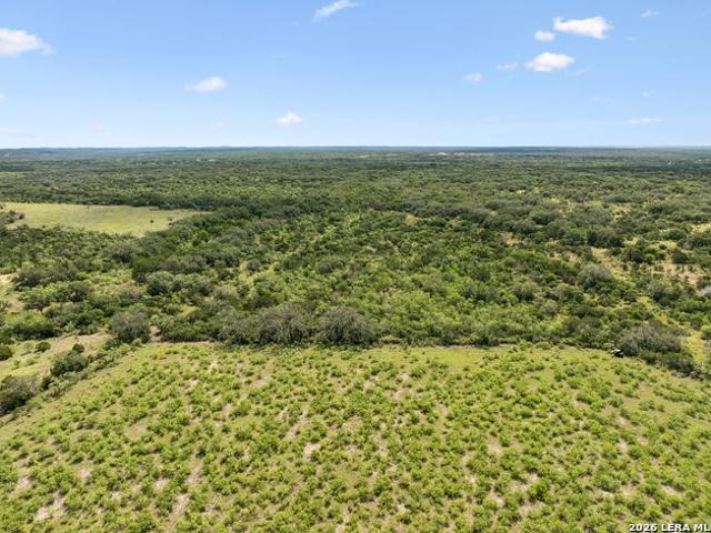 547 County Road 3401