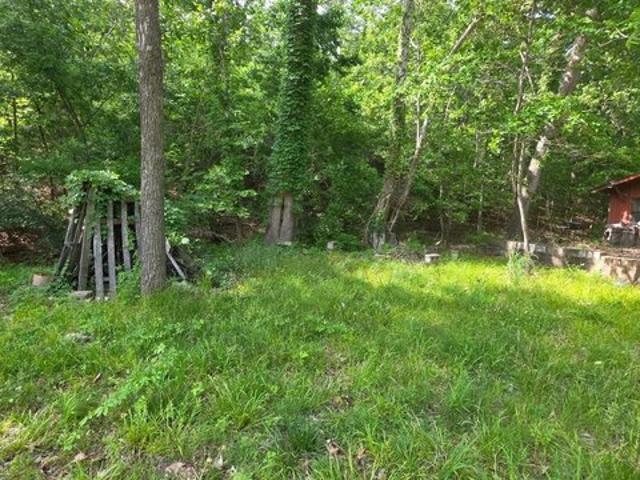 547 Mc # 3002, Yellville, AR 72667
