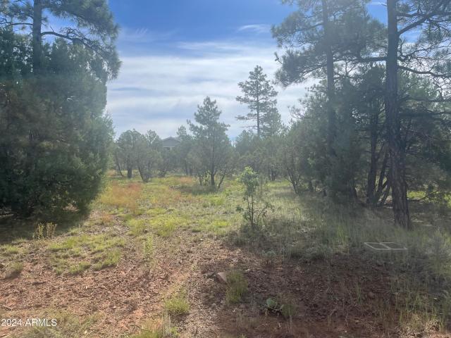 5481 Red Squirrel Ln, Unit 55, Lakeside, AZ 85929 | MLS #6731 | Compass